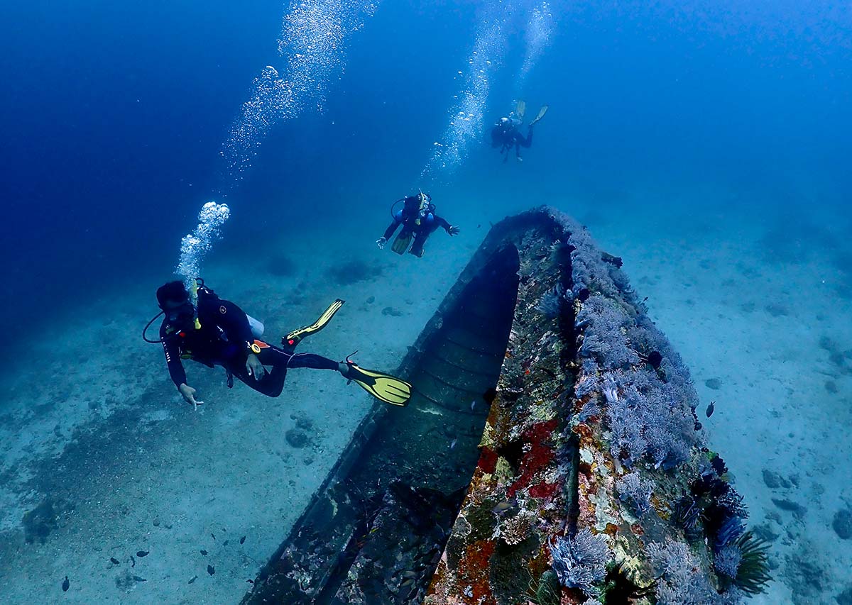 Best dive sites in Puerto Galera and Verde Island - Dive Mindoro