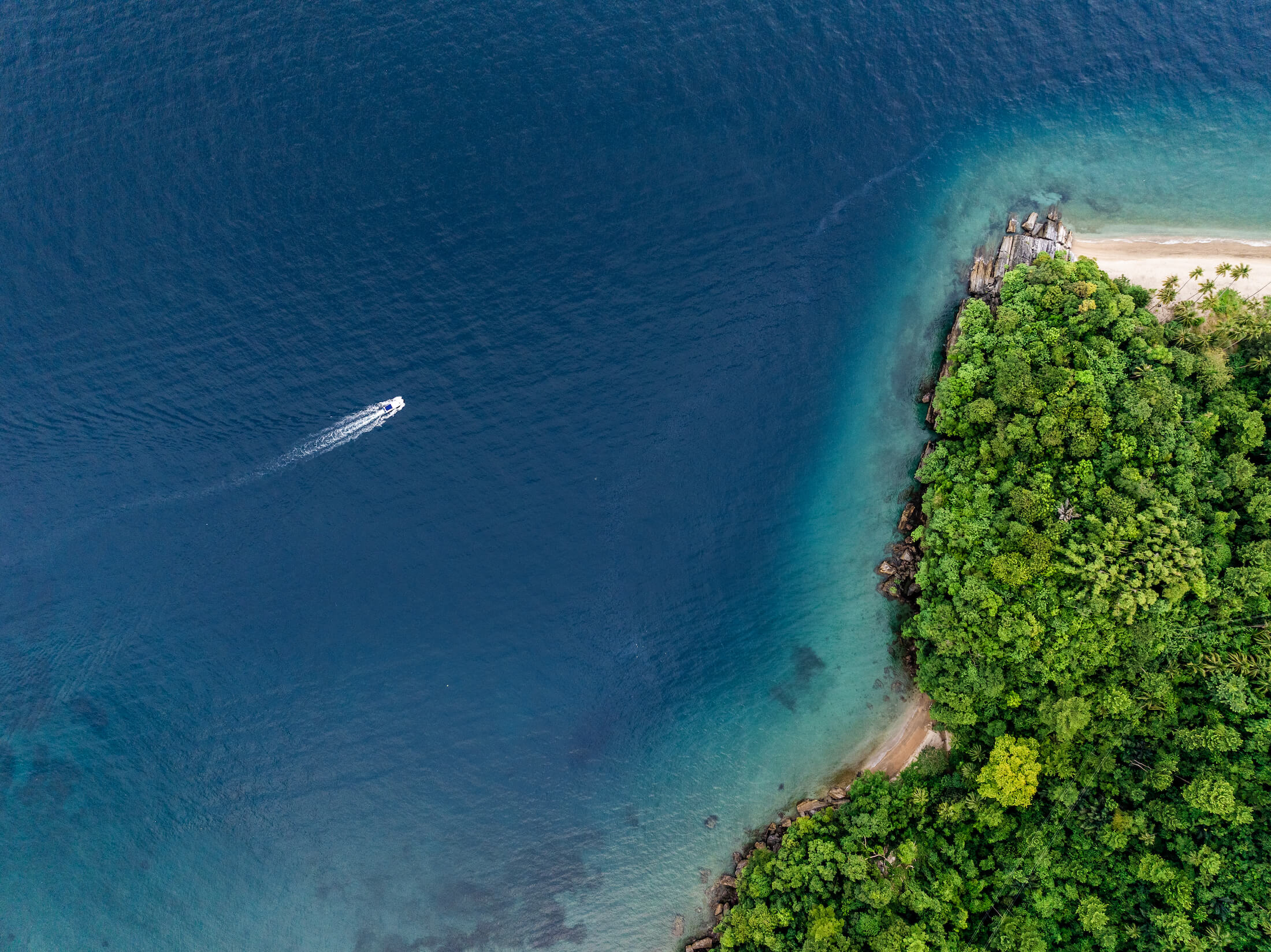 Coral Reef Safari - Verde Island Passage